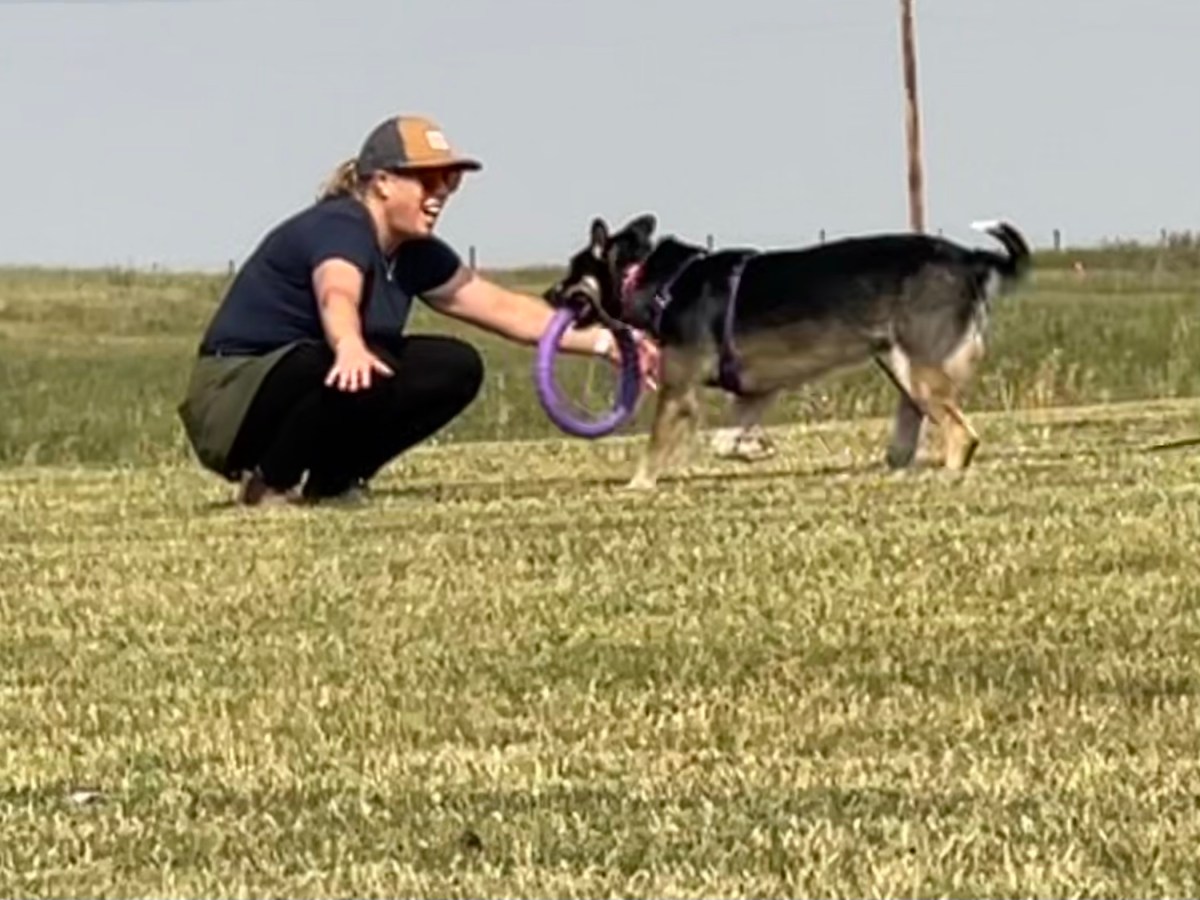 What’s Your Why? – K9 Windseekers – Tracking & Trailing Instruction ...