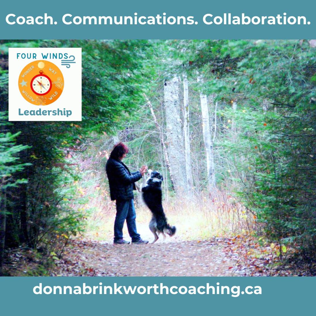 Strategic Communications Services – K9 Windseekers – Tracking ...